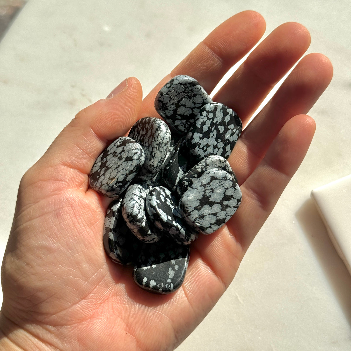 Snowflake Obsidian Coins – Crystal Works Austin