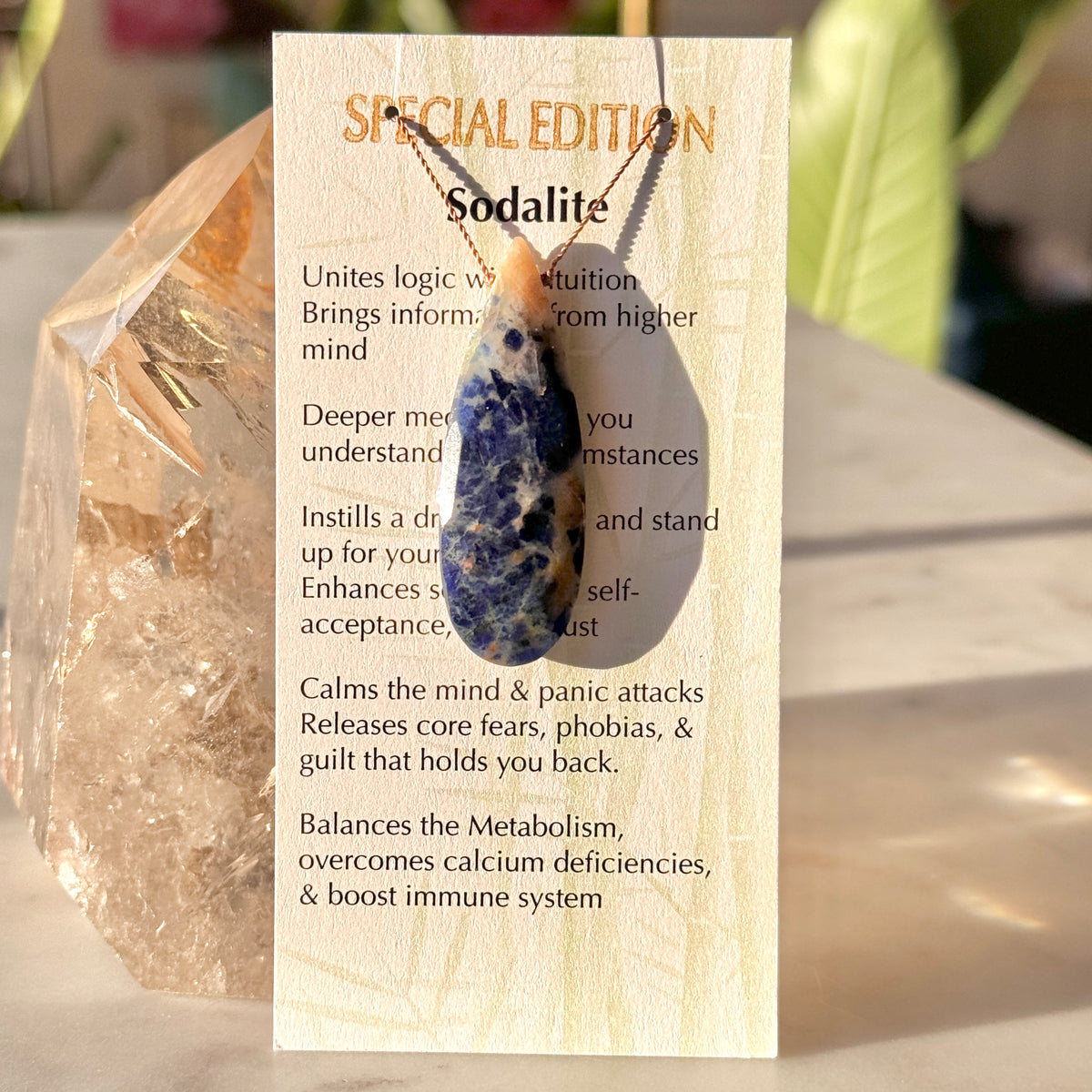 Sodalite Special Edition – Crystal Works Austin